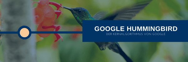 Google Hummingbird Algorithmus - der Google Kern - intenSEO